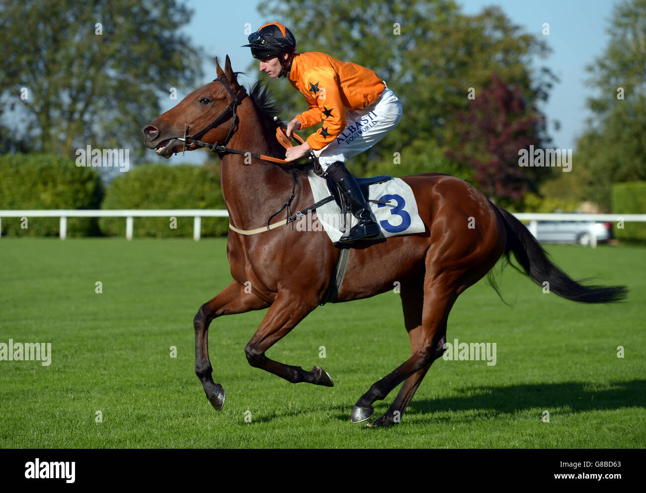 Horse Racing - Windsor Racecourse Stock Photo - Alamy