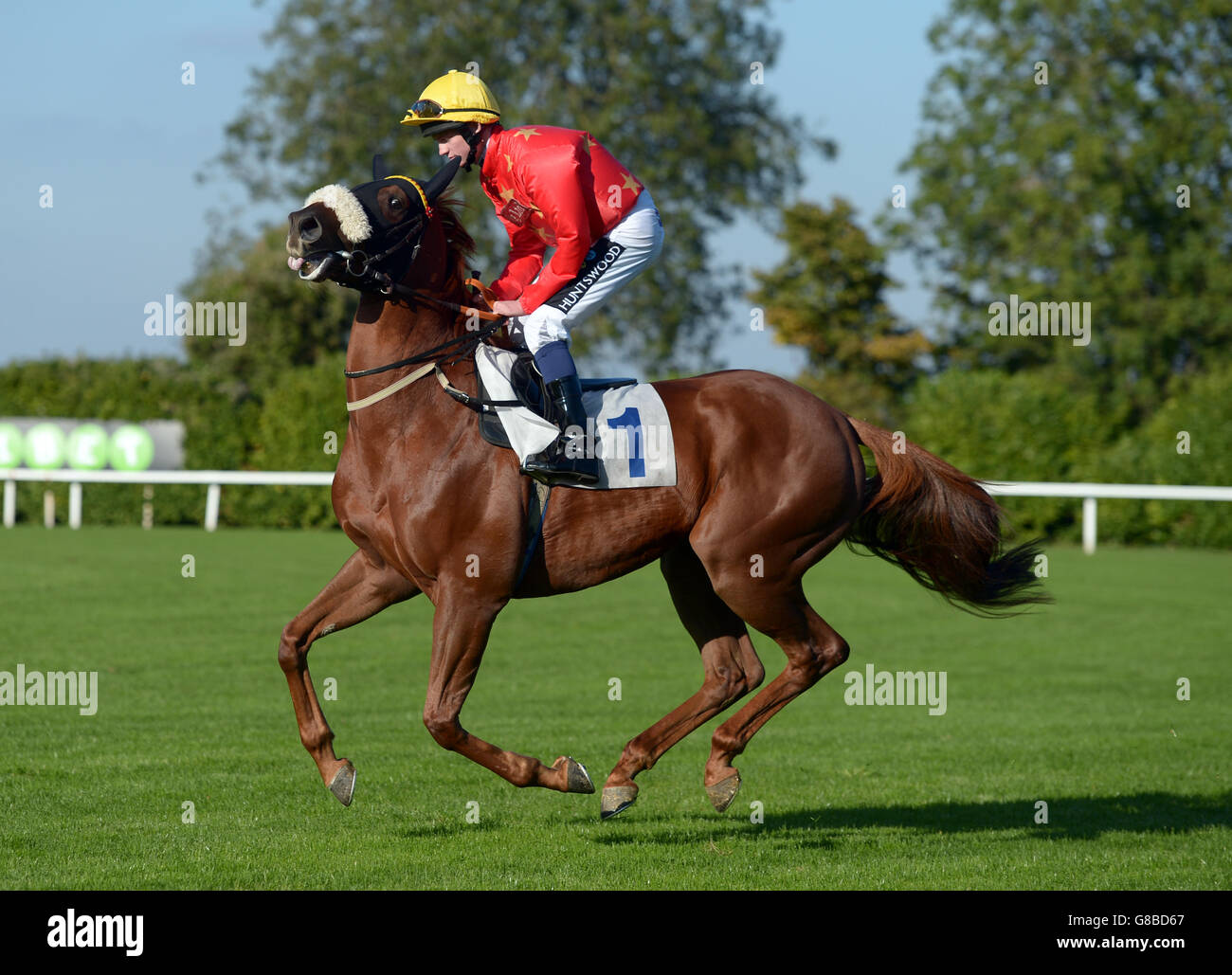Rob windsor hi-res stock photography and images - Alamy