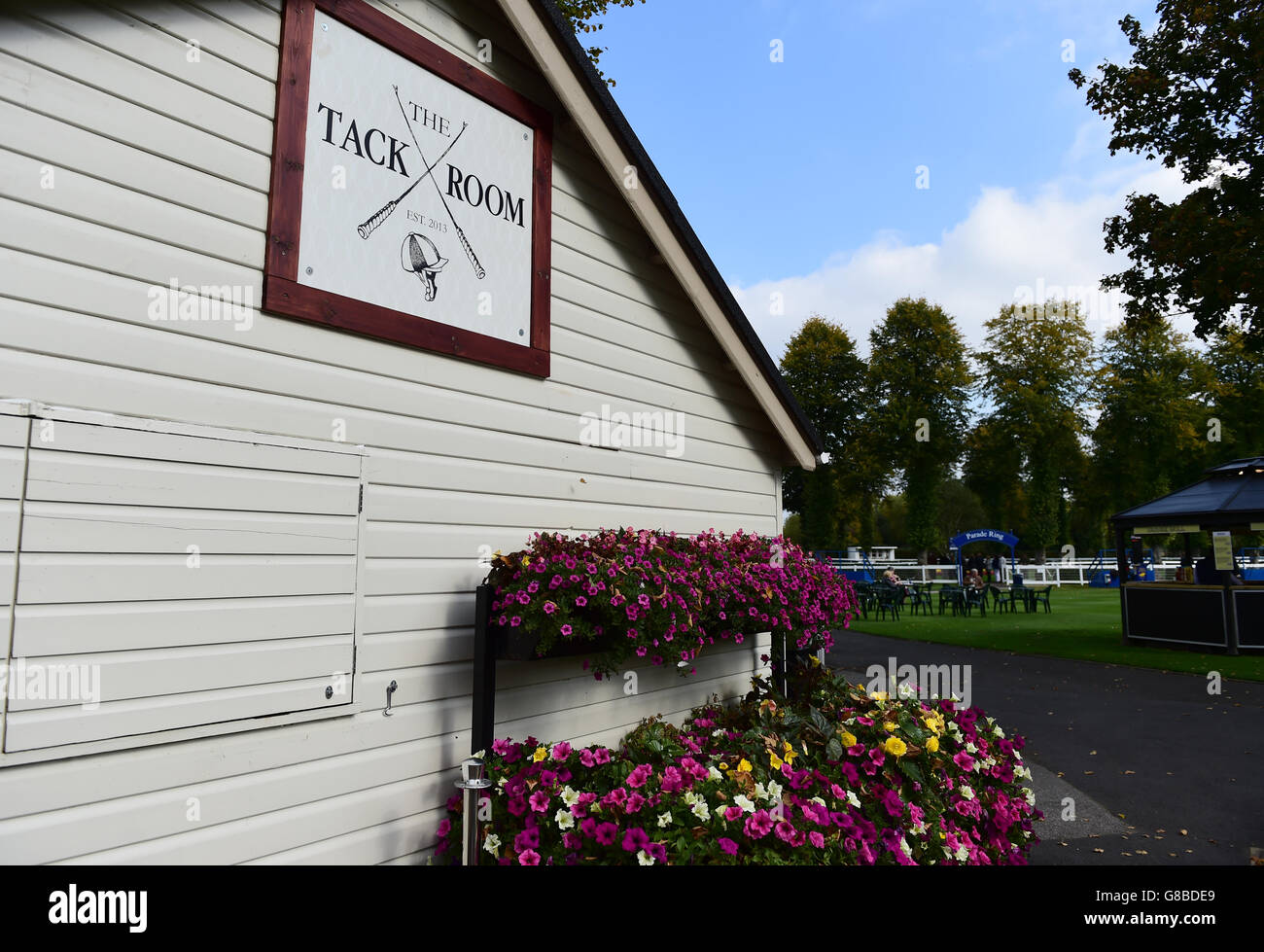 Horse Racing - Windsor Racecourse Stock Photo - Alamy