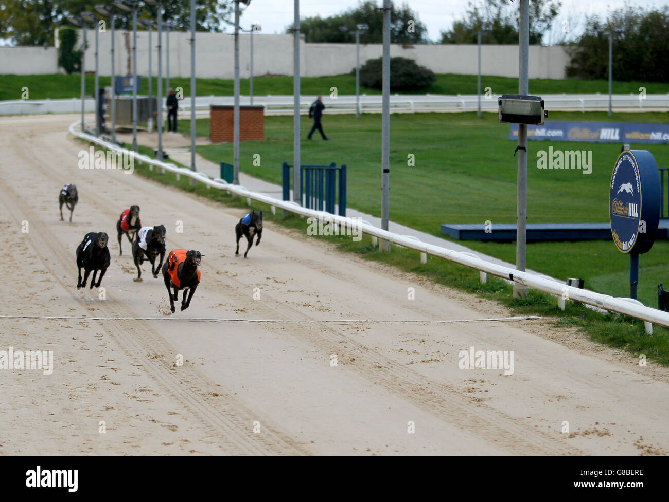 Greyhound Racing - Sunderland Greyhound Stadium Stock Photo - Alamy