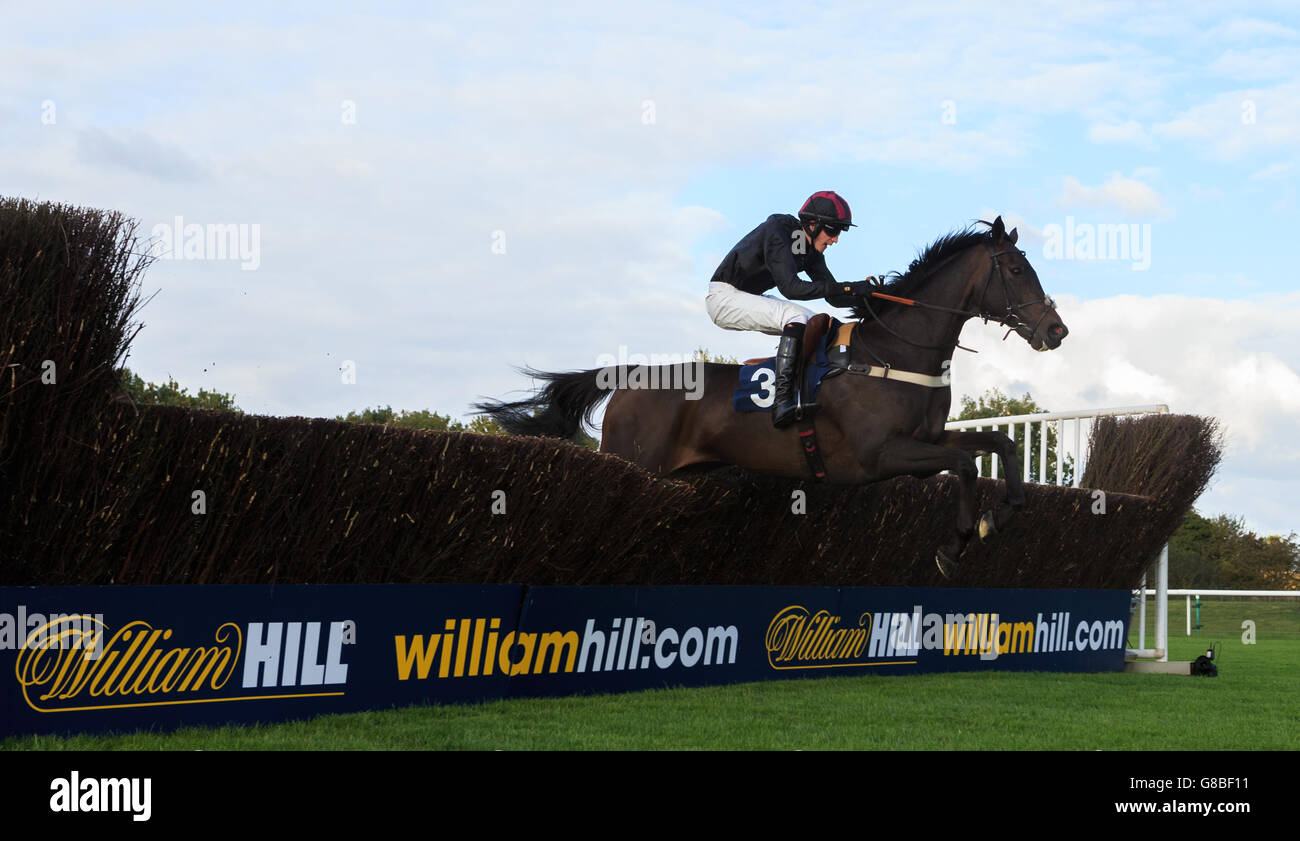 Horse Racing - Huntingdon Racecourse Stock Photo - Alamy