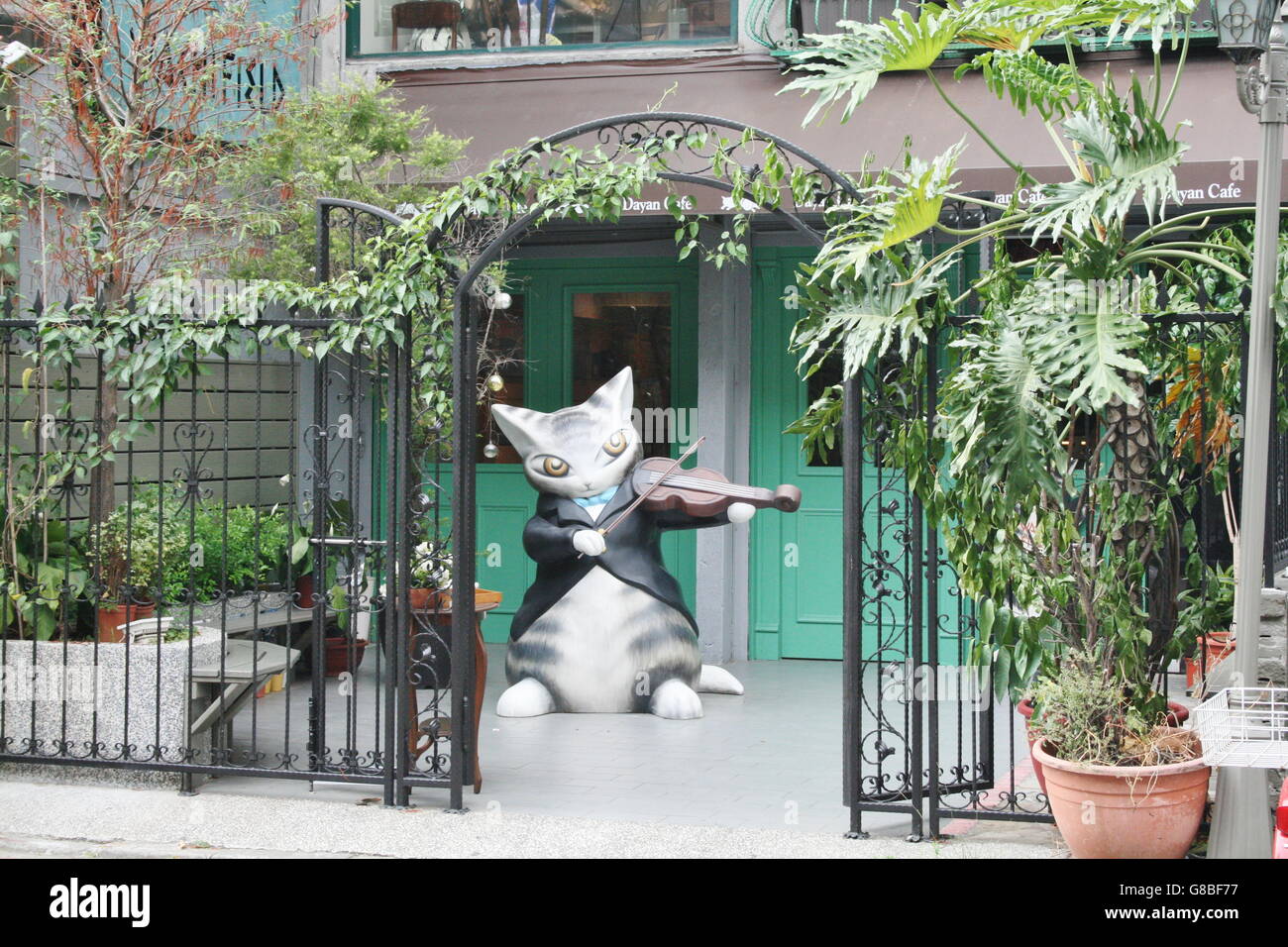 China cat cafe hi-res stock photography and images - Alamy