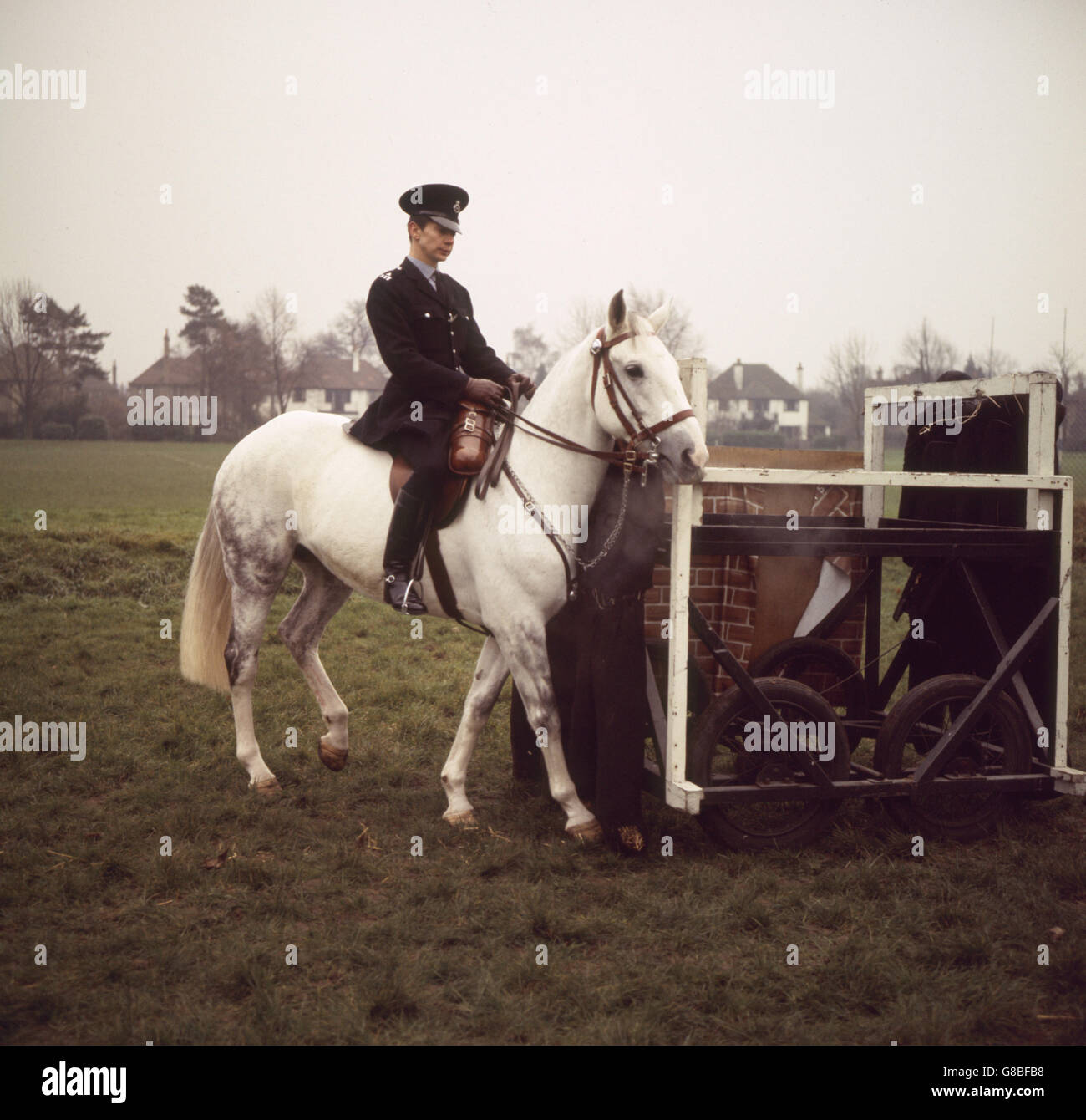 Animals - Police Horse Riot Training - Imber Court, Surrey Stock Photo ...
