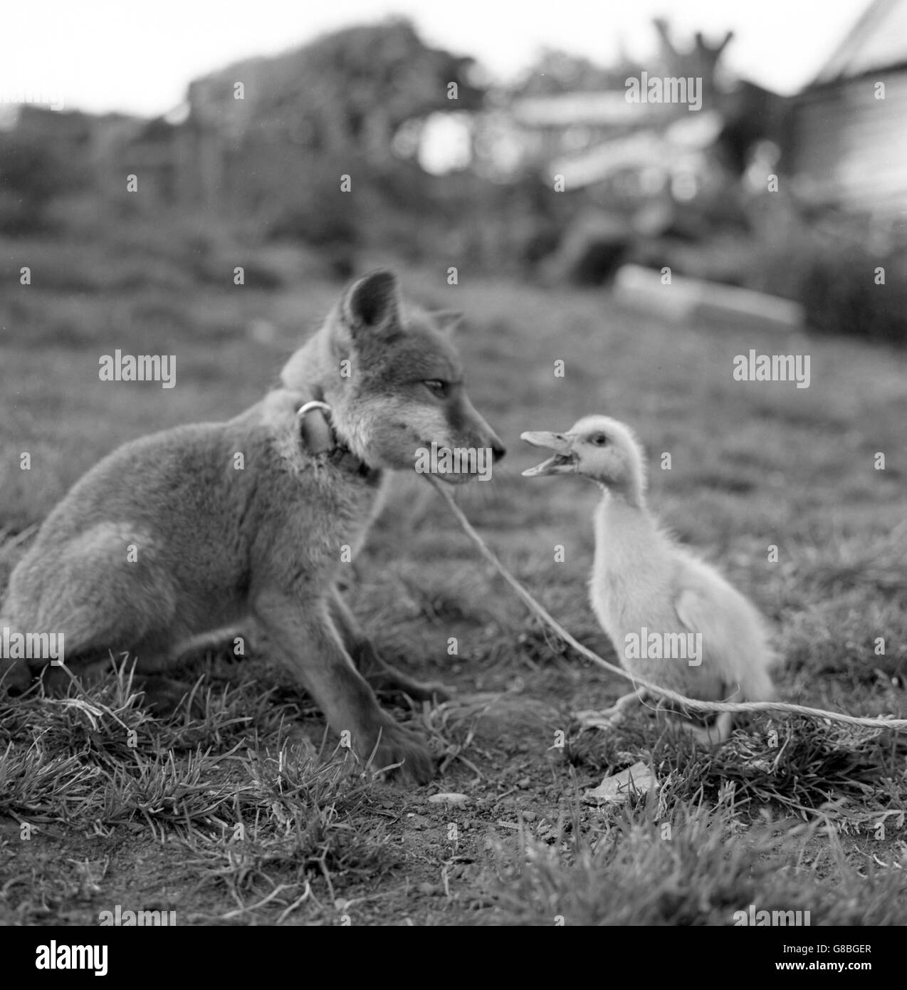 Wipoct30th High Resolution Stock Photography and Images - Alamy