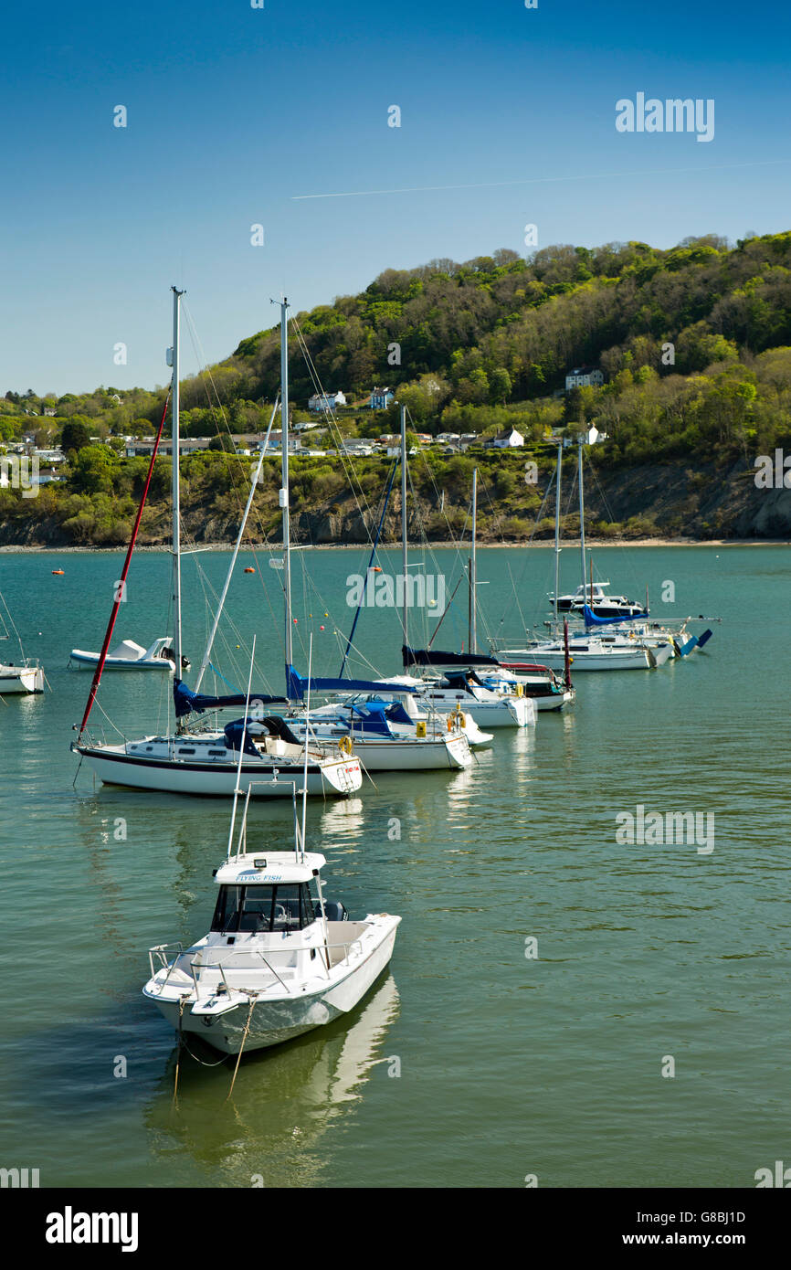 New quay cardigan hi-res stock photography and images - Alamy
