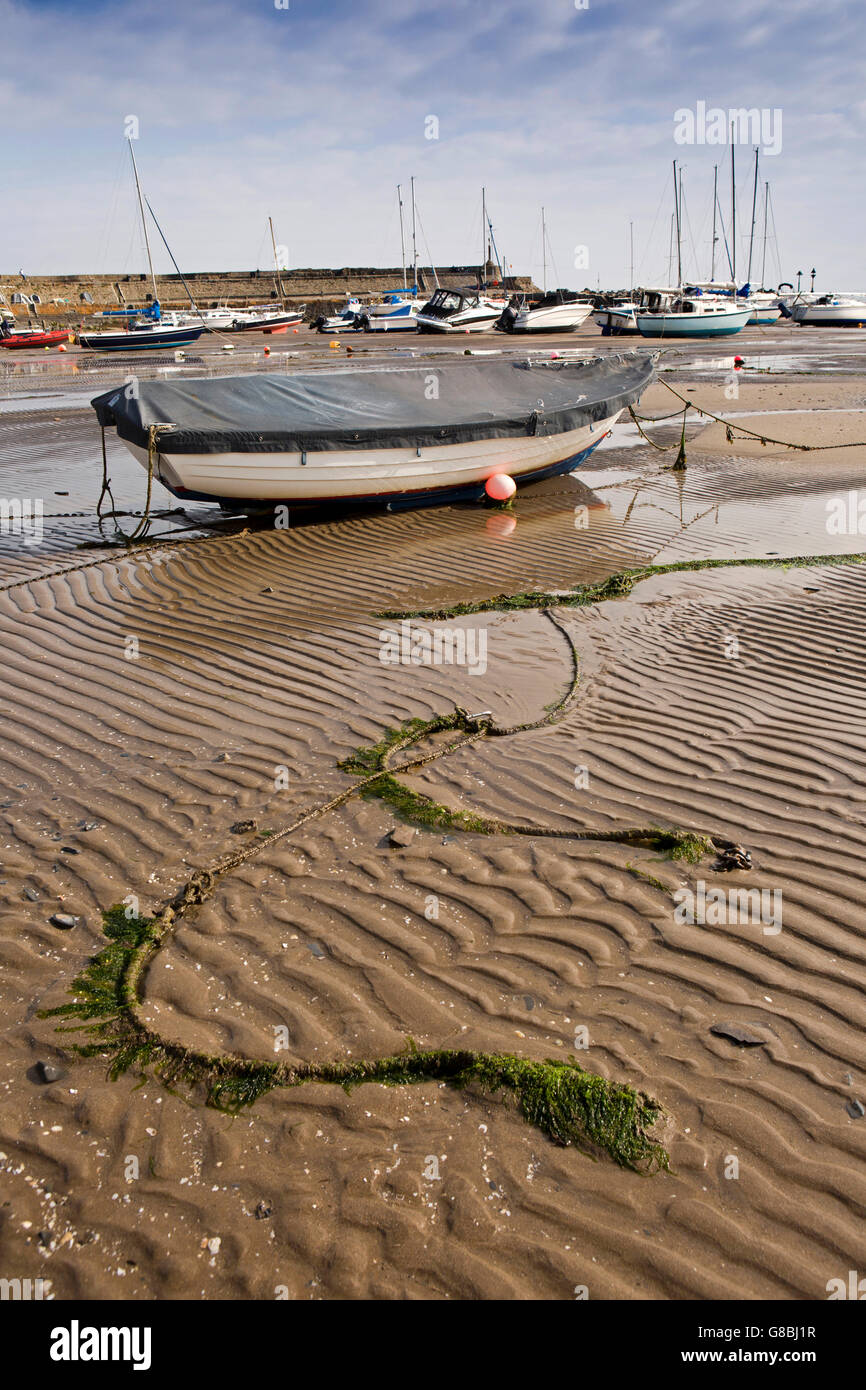 UK, Wales, Ceredigion, New Quay, boats in harbour at low tide Stock ...