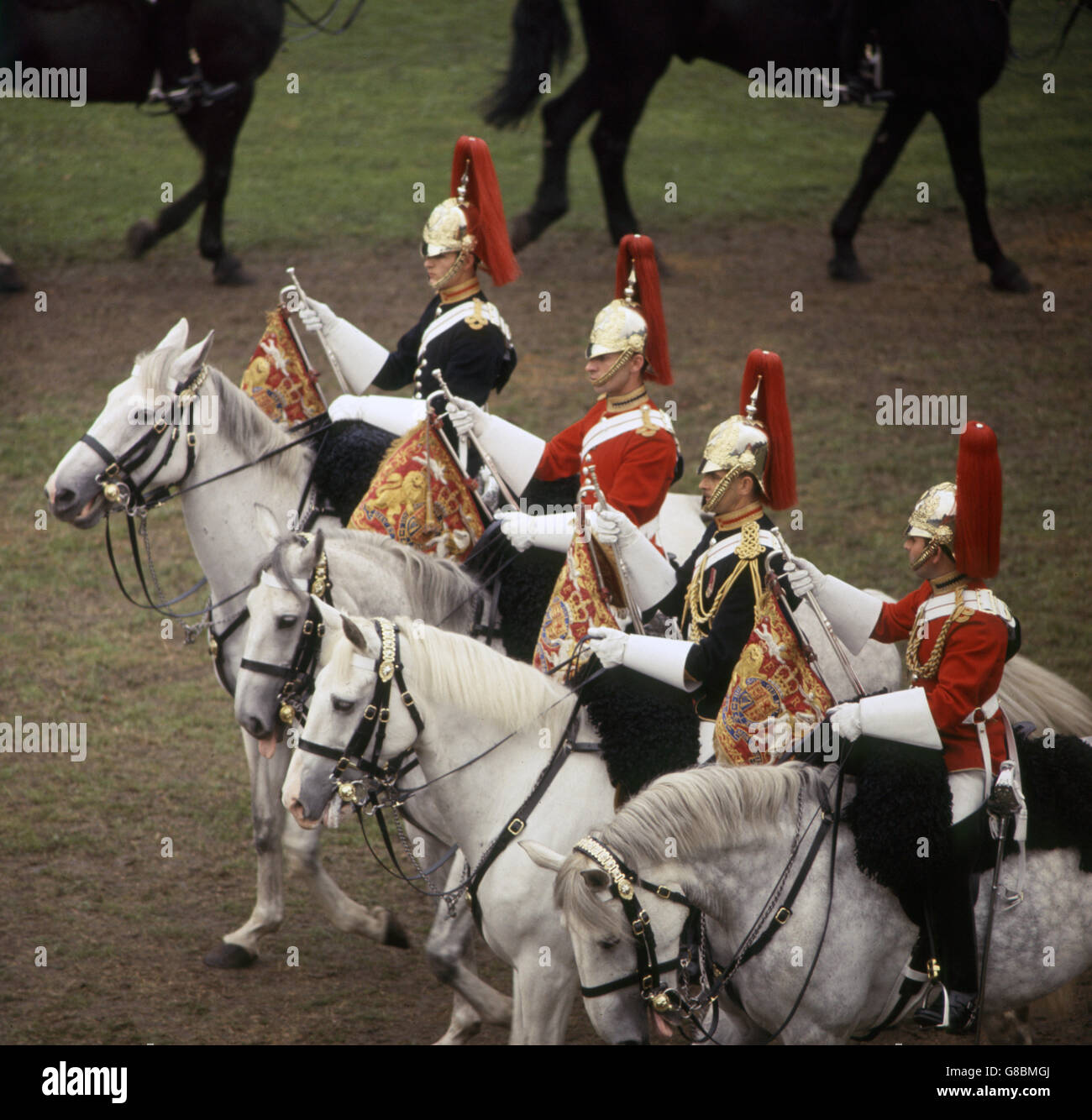 Cavalry tattoo - Bronctattooaus.com