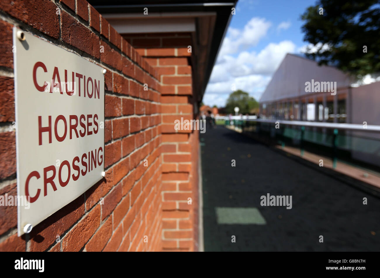 Horse crossing sign hi-res stock photography and images - Alamy
