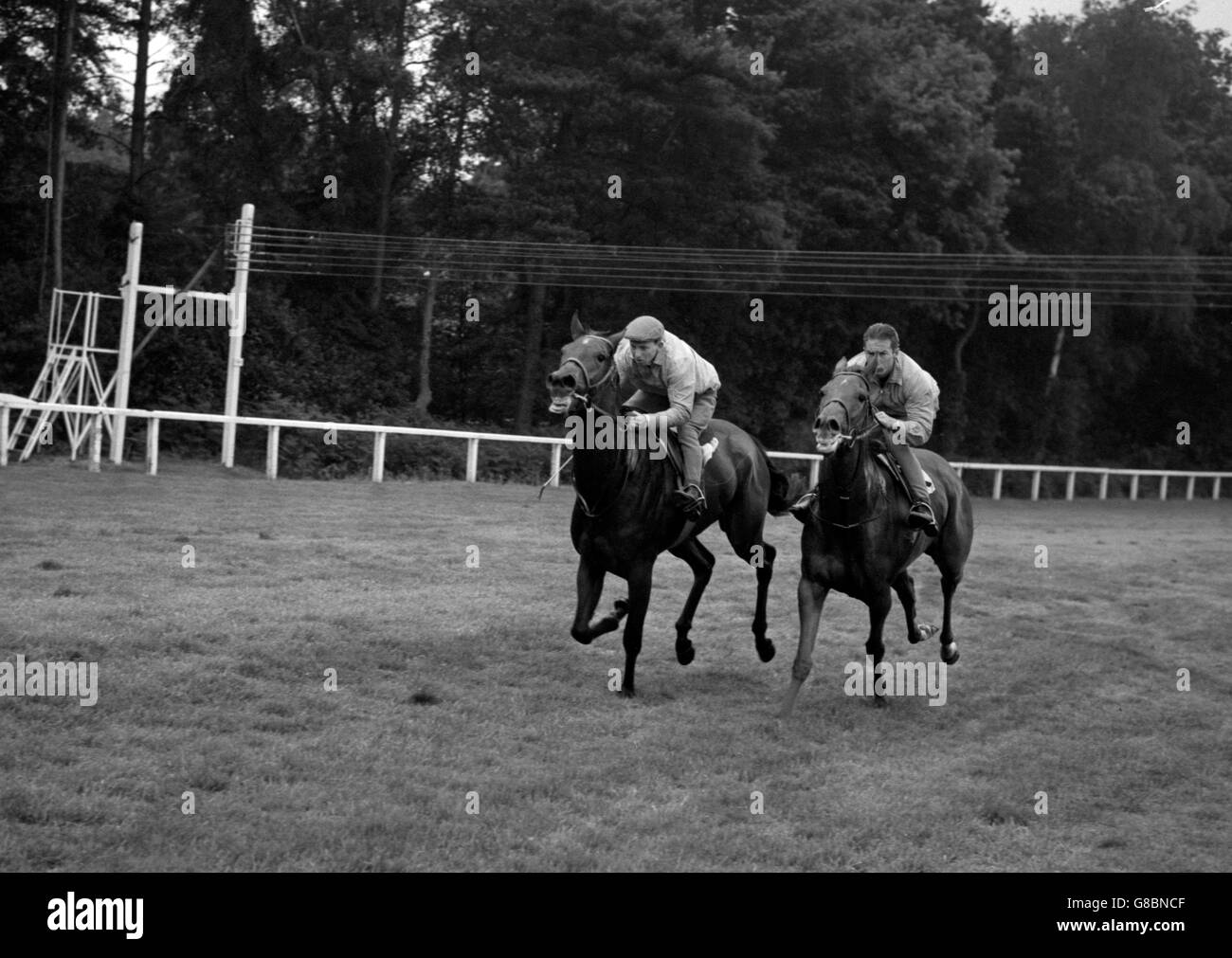 Horse Racing - Training - Lester Piggott - Ascot Stock Photo - Alamy