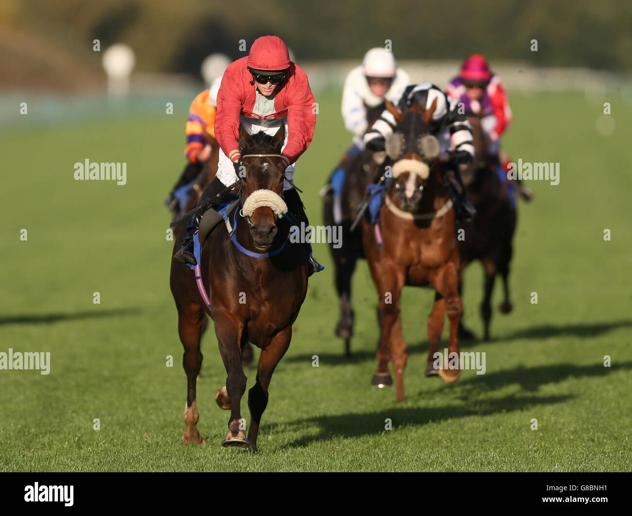 At nottingham racecourse hi-res stock photography and images - Alamy