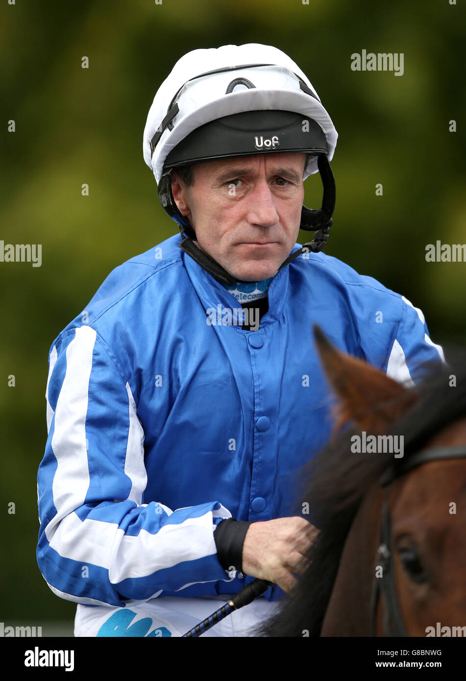 Headshot horse racing hi-res stock photography and images - Alamy