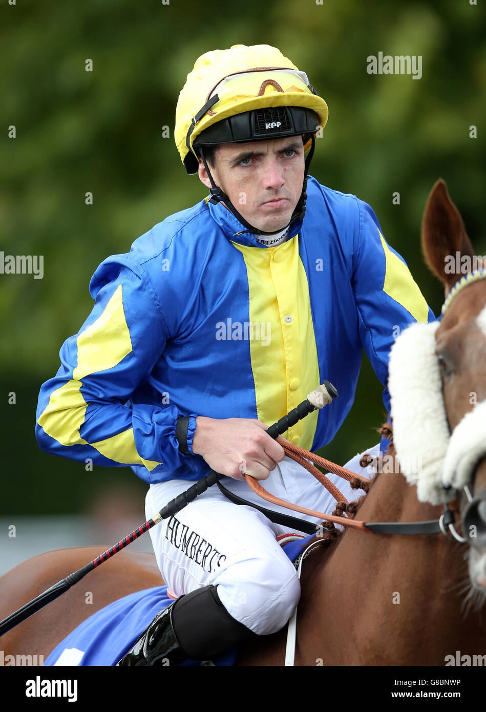 Horse Racing - Nottingham Racecourse. Jockey Martin Harley Stock Photo ...