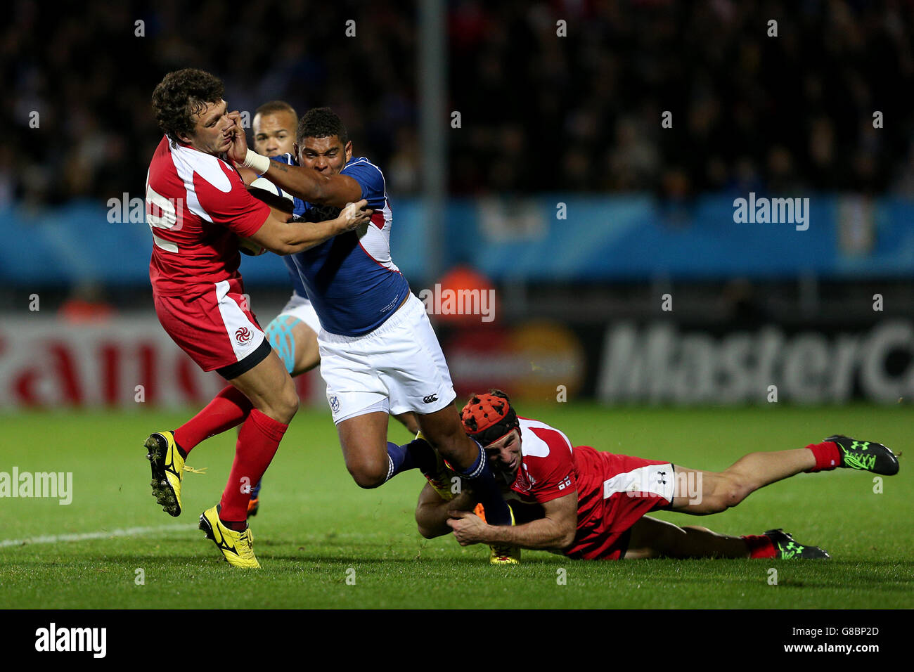 Chrysander botha hi-res stock photography and images - Alamy