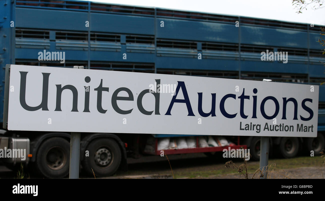 Signage at the United Auction Great Annual Sale of North Country ...
