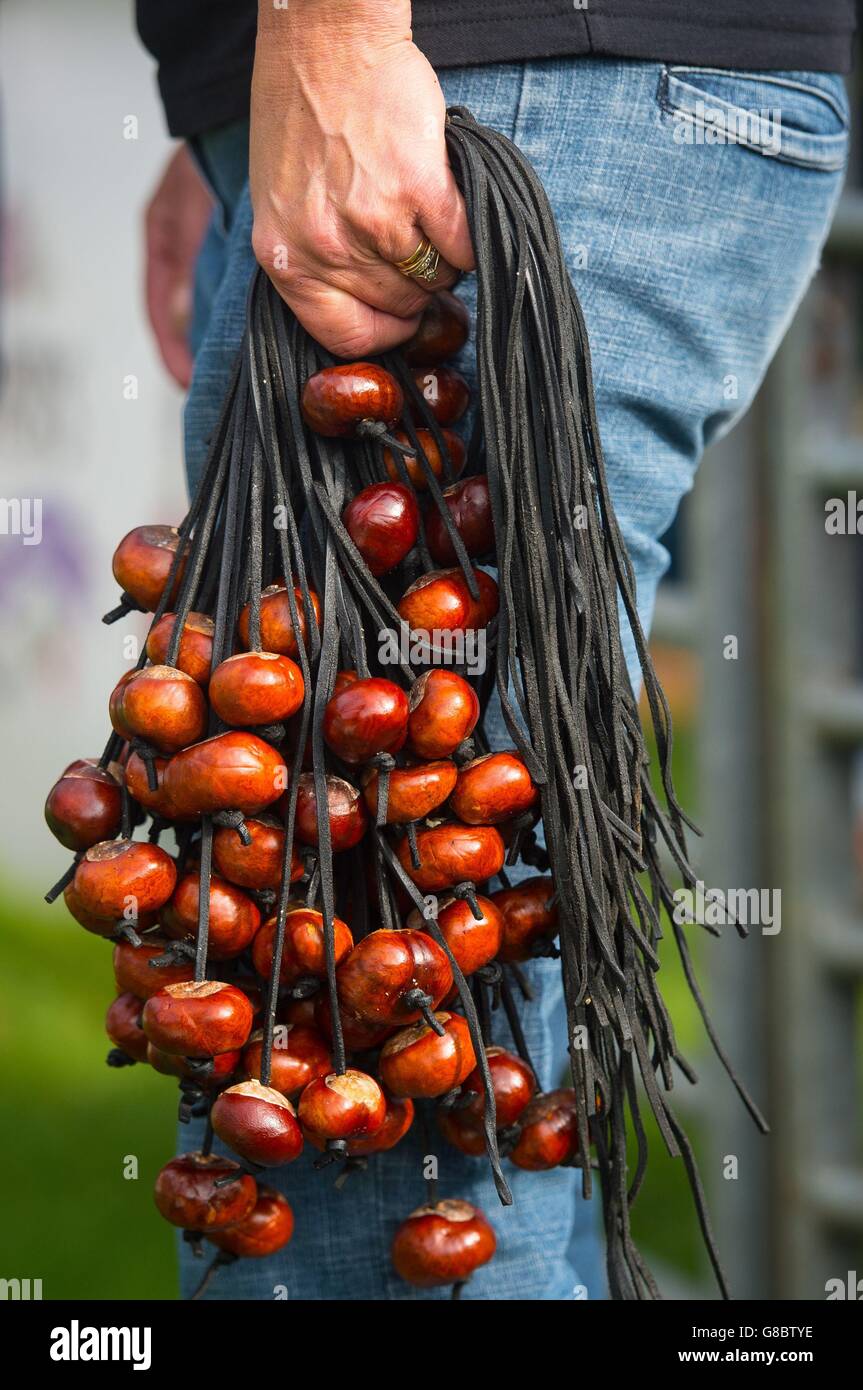 Conker match hi-res stock photography and images - Alamy