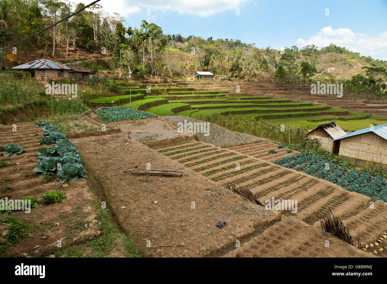 Indonesia china hi-res stock photography and images - Alamy