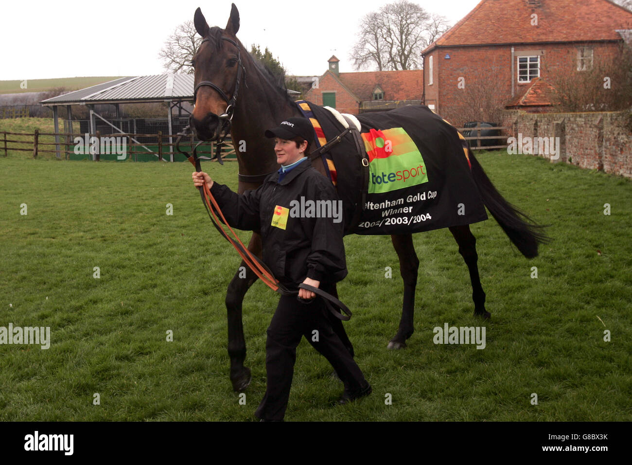 Horse racing henrietta knight stables open day west lockinge hi-res ...