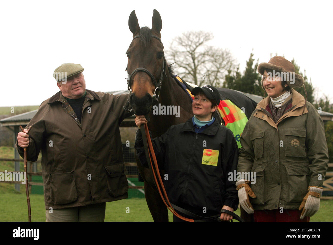 Horse racing henrietta knight stables open day west lockinge hi-res ...