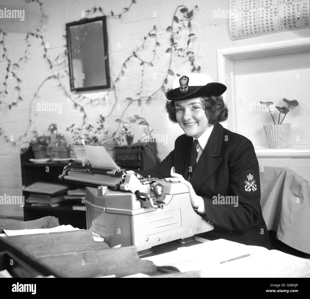 Wren uniform hi-res stock photography and images - Alamy