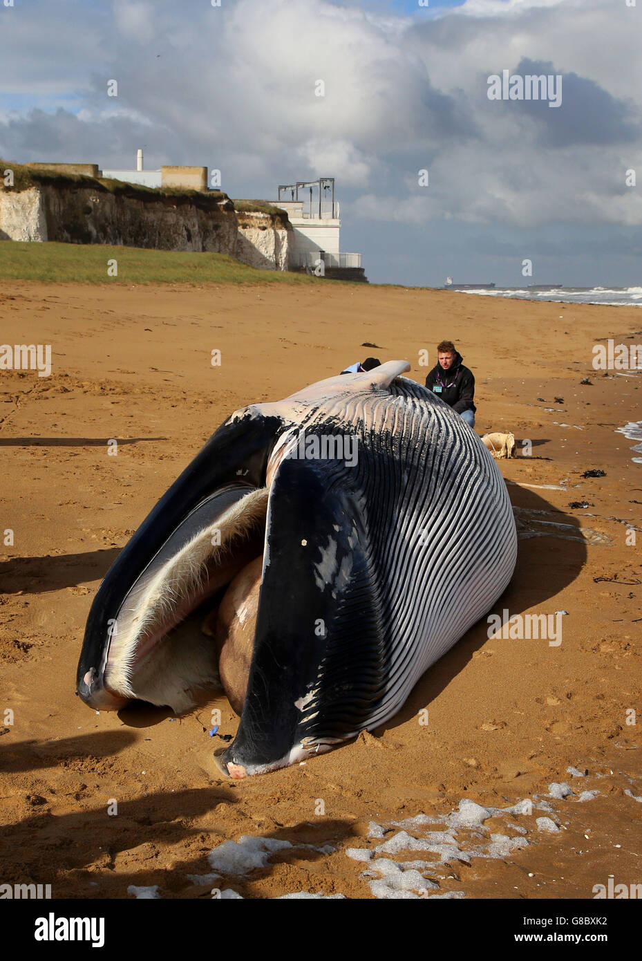 Discovered on shore foreness point hi-res stock photography and images ...