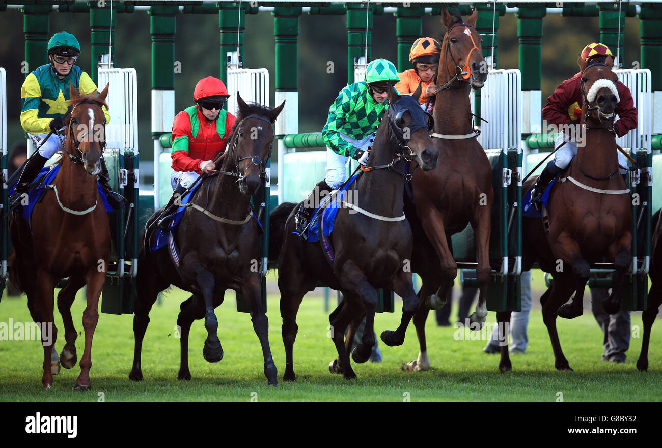 Stalls nottingham racecourse hi-res stock photography and images - Alamy