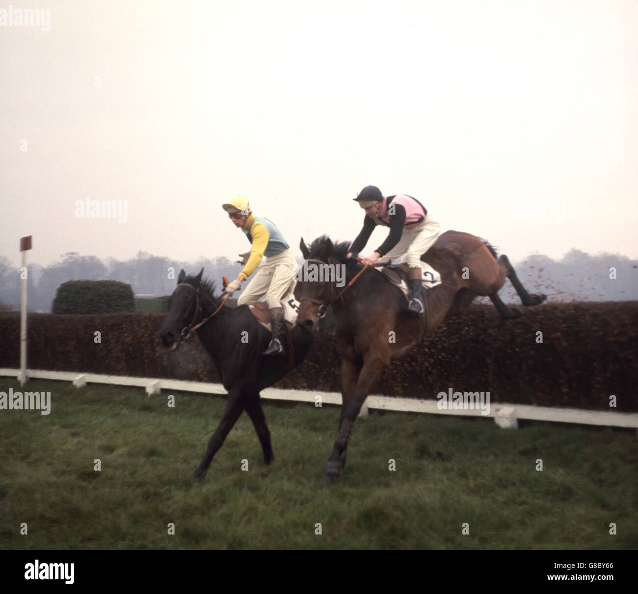 Horse Racing - Crowhurst Selling Handicap Steeplechase - Lingfield ...