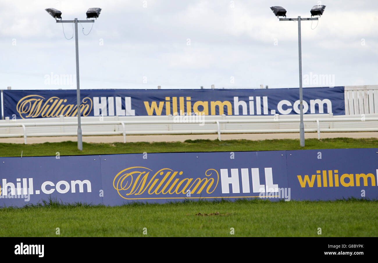 Greyhound Racing - Sunderland Greyhound Stadium. A general view of ...