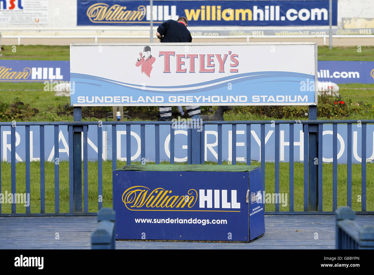 Greyhound Racing - Sunderland Greyhound Stadium Stock Photo - Alamy