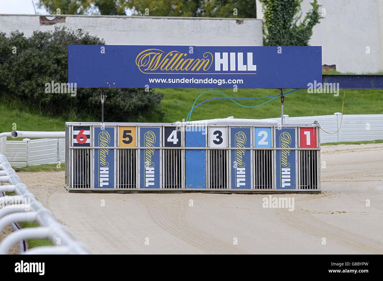 Greyhound Racing - Sunderland Greyhound Stadium. A general view of ...