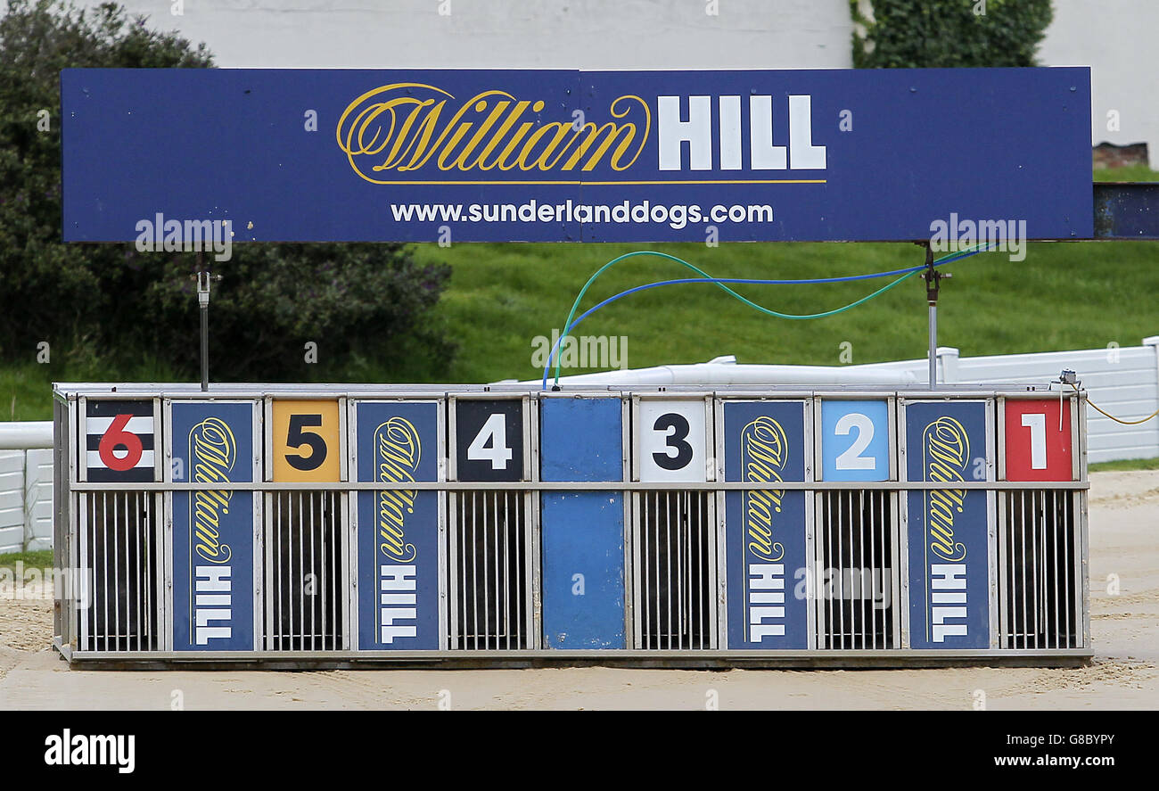 Greyhound Racing - Sunderland Greyhound Stadium. A general view of ...