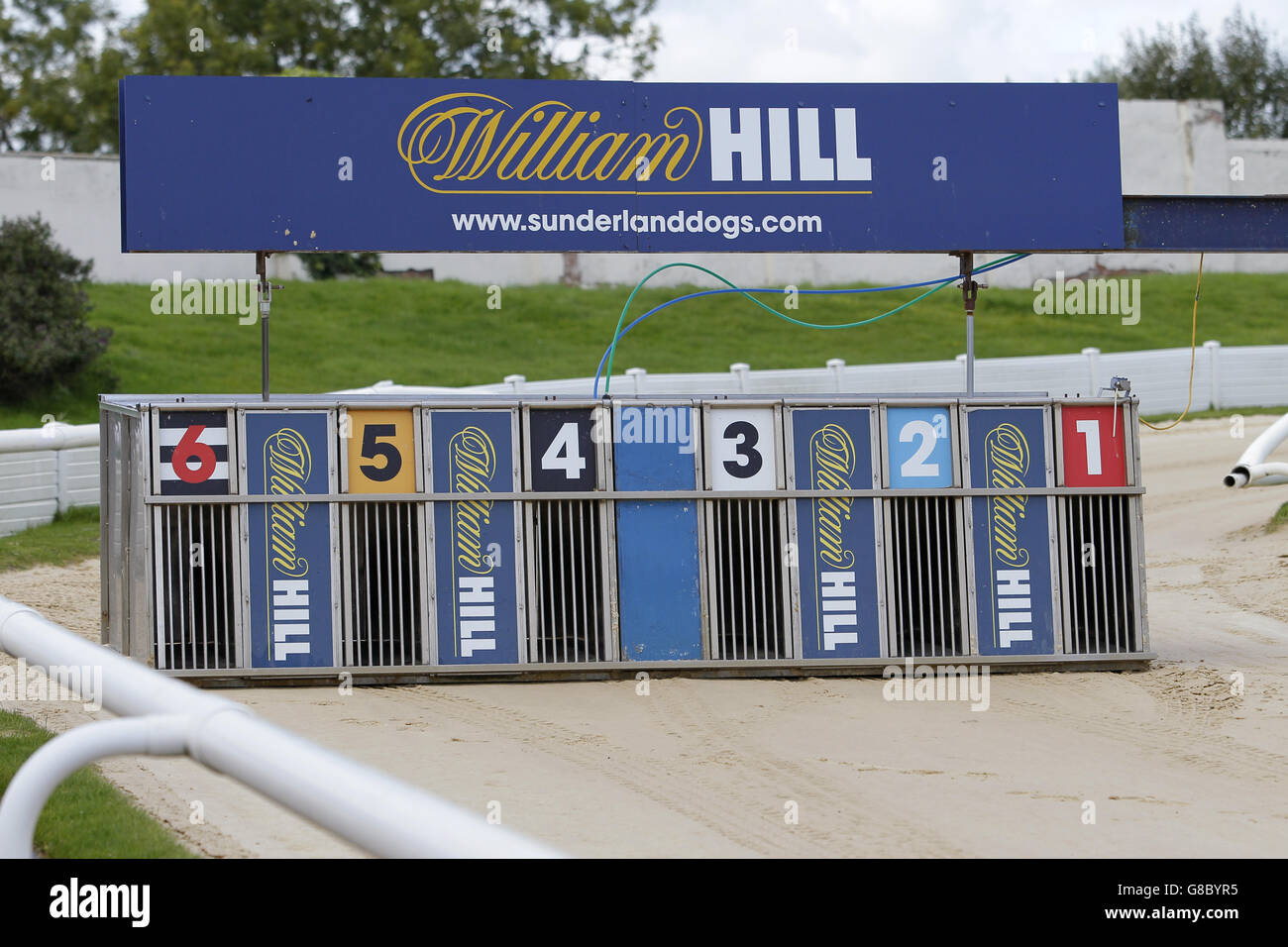 Greyhound Racing - Sunderland Greyhound Stadium Stock Photo - Alamy