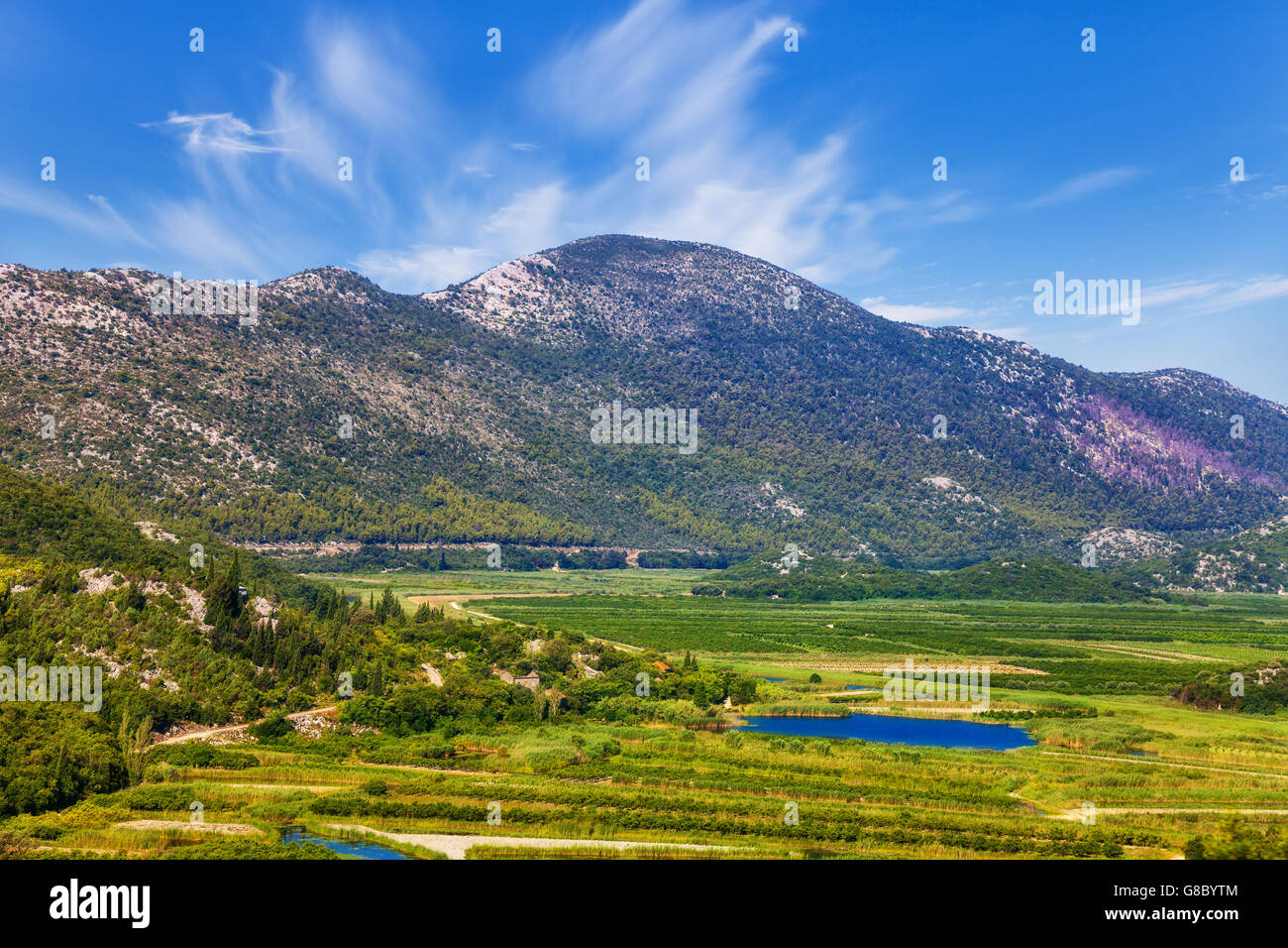 Landscape view of Neretva river delta in Croatia Stock Photo - Alamy