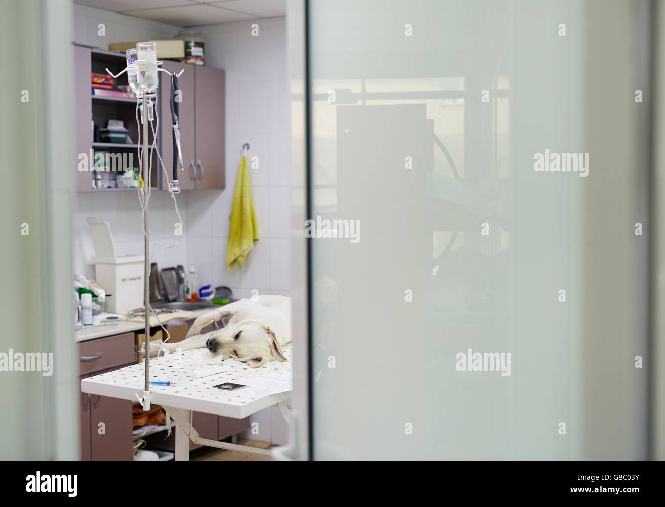 Diagnostic clinic hi-res stock photography and images - Alamy