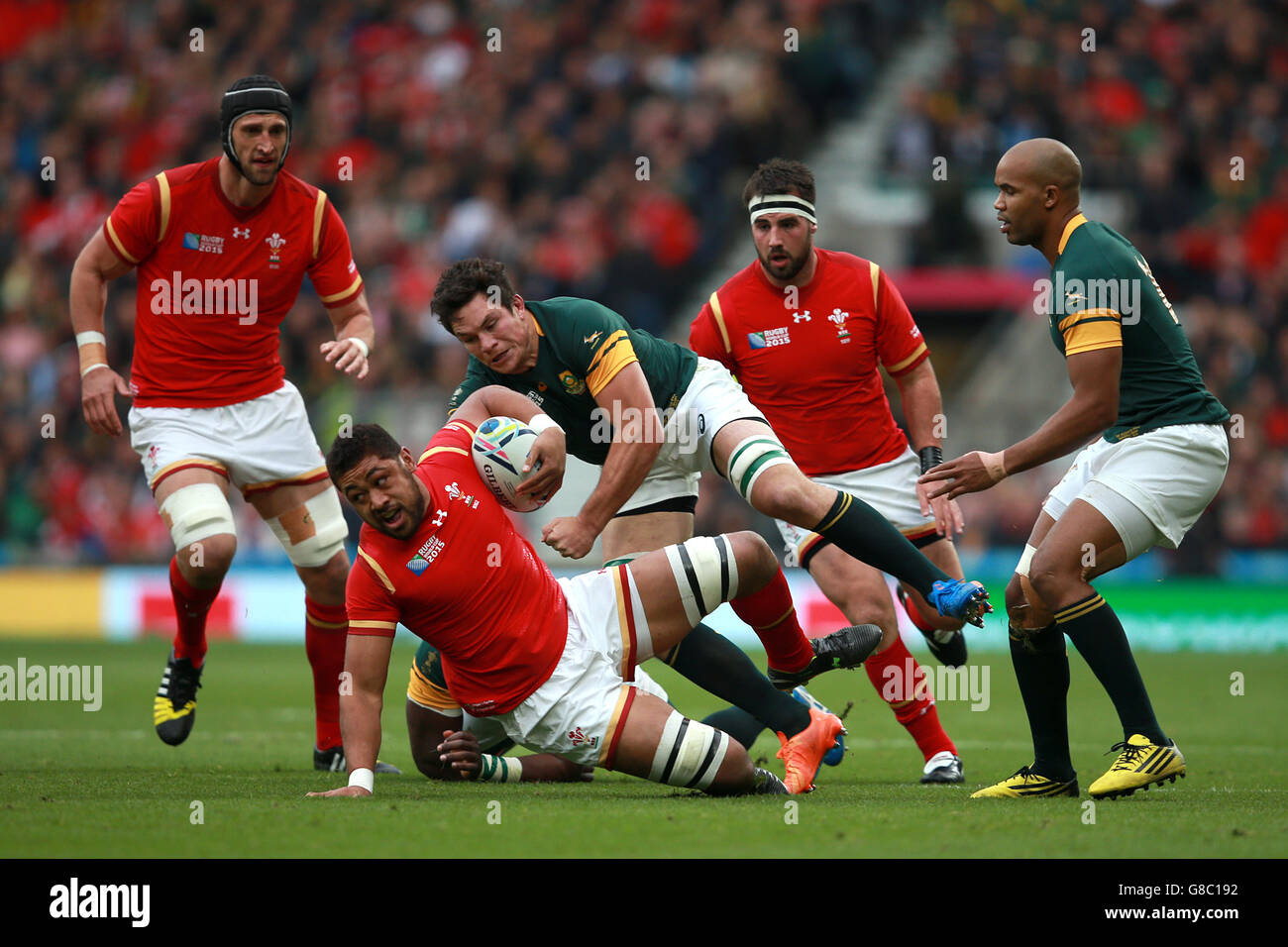 Wales south africa rugby hi-res stock photography and images - Alamy