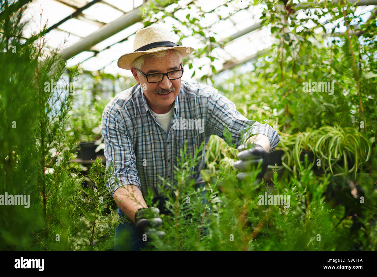 Adult agriculture hi-res stock photography and images - Alamy
