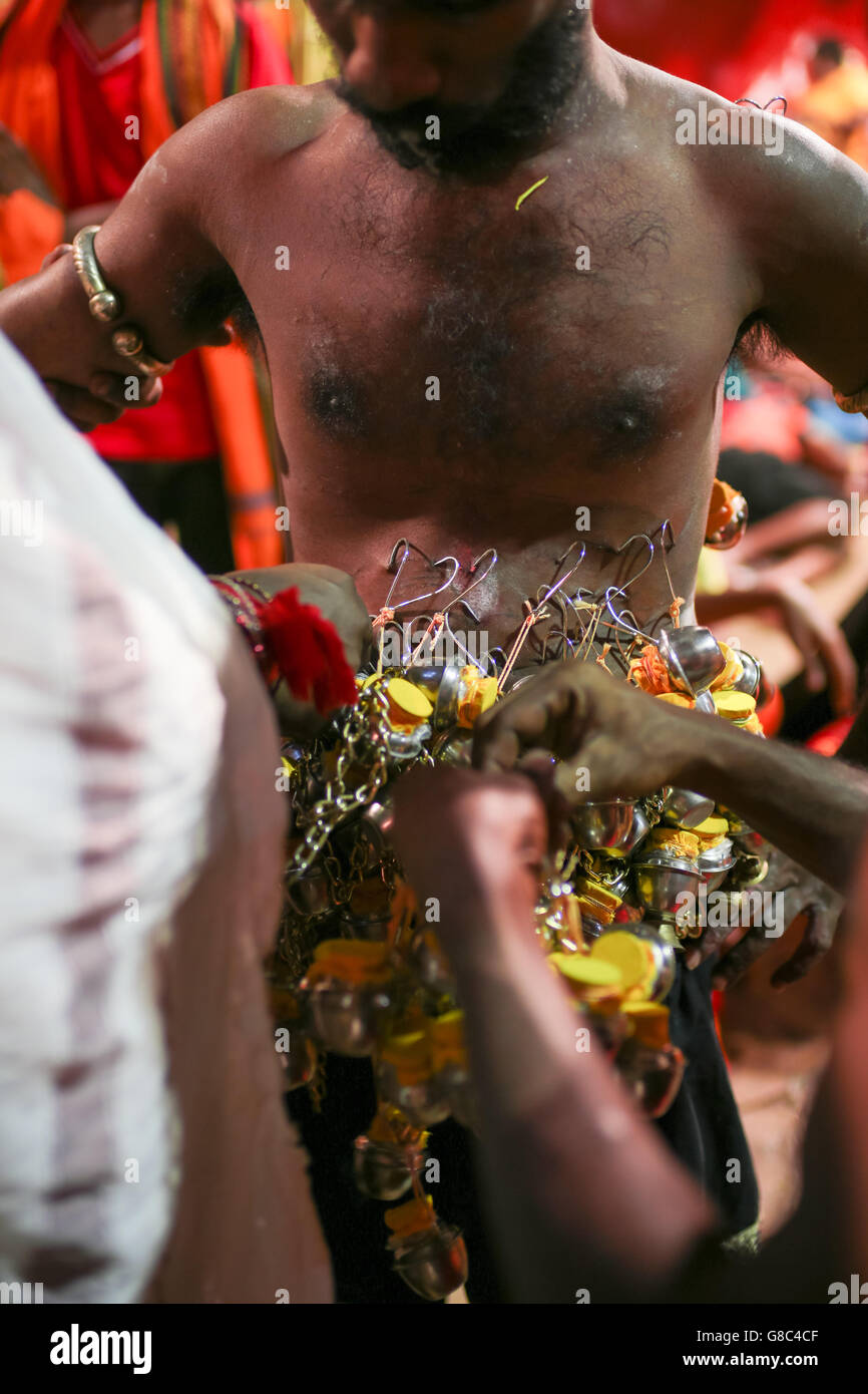 Dismounting kavadi from the bearer during Thaipusam festival Stock ...