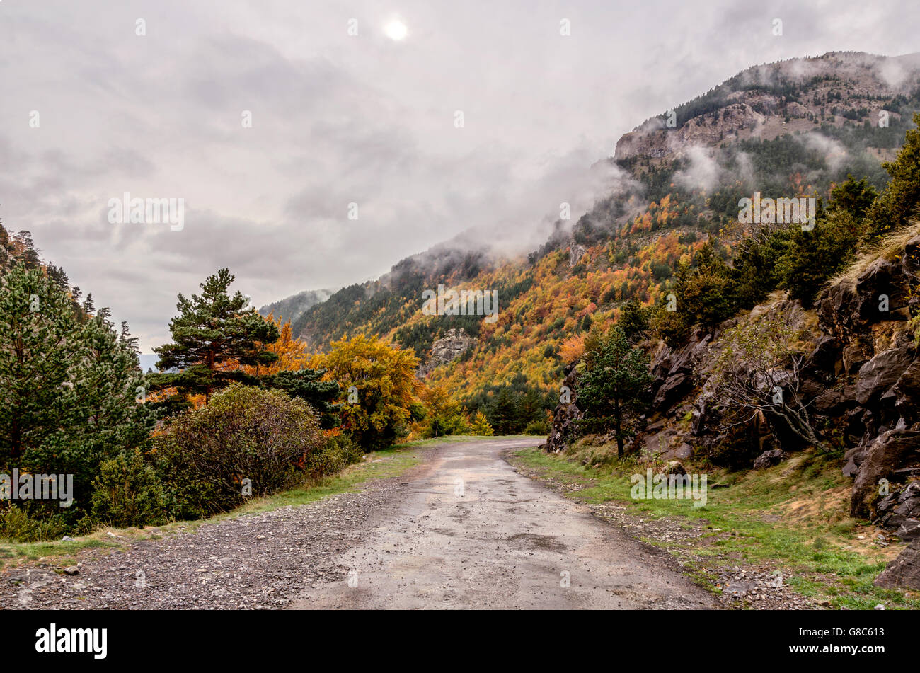 Autumn in the Pyrenees Stock Photo - Alamy