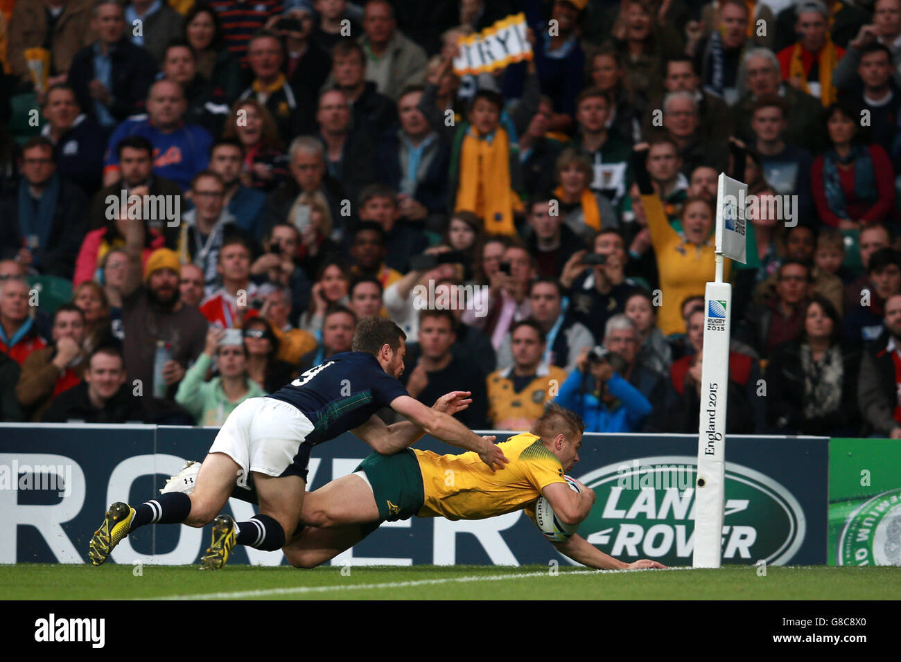 Australia wallabies rugby try' hi-res stock photography and images - Alamy