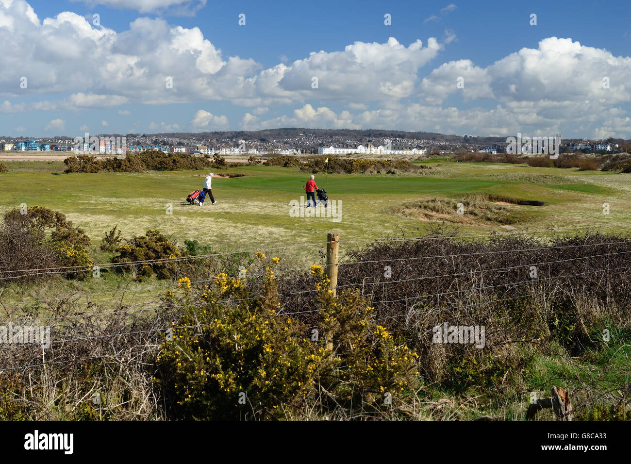 Seaside golf course, looking towards Exmouth Stock Photo - Alamy