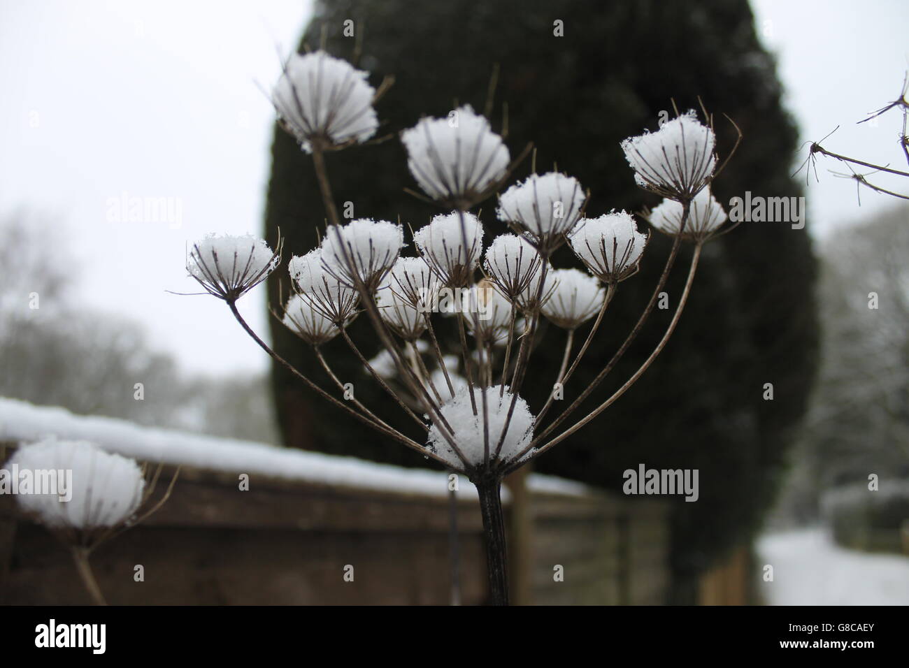 Spring Signs High Resolution Stock Photography and Images - Alamy