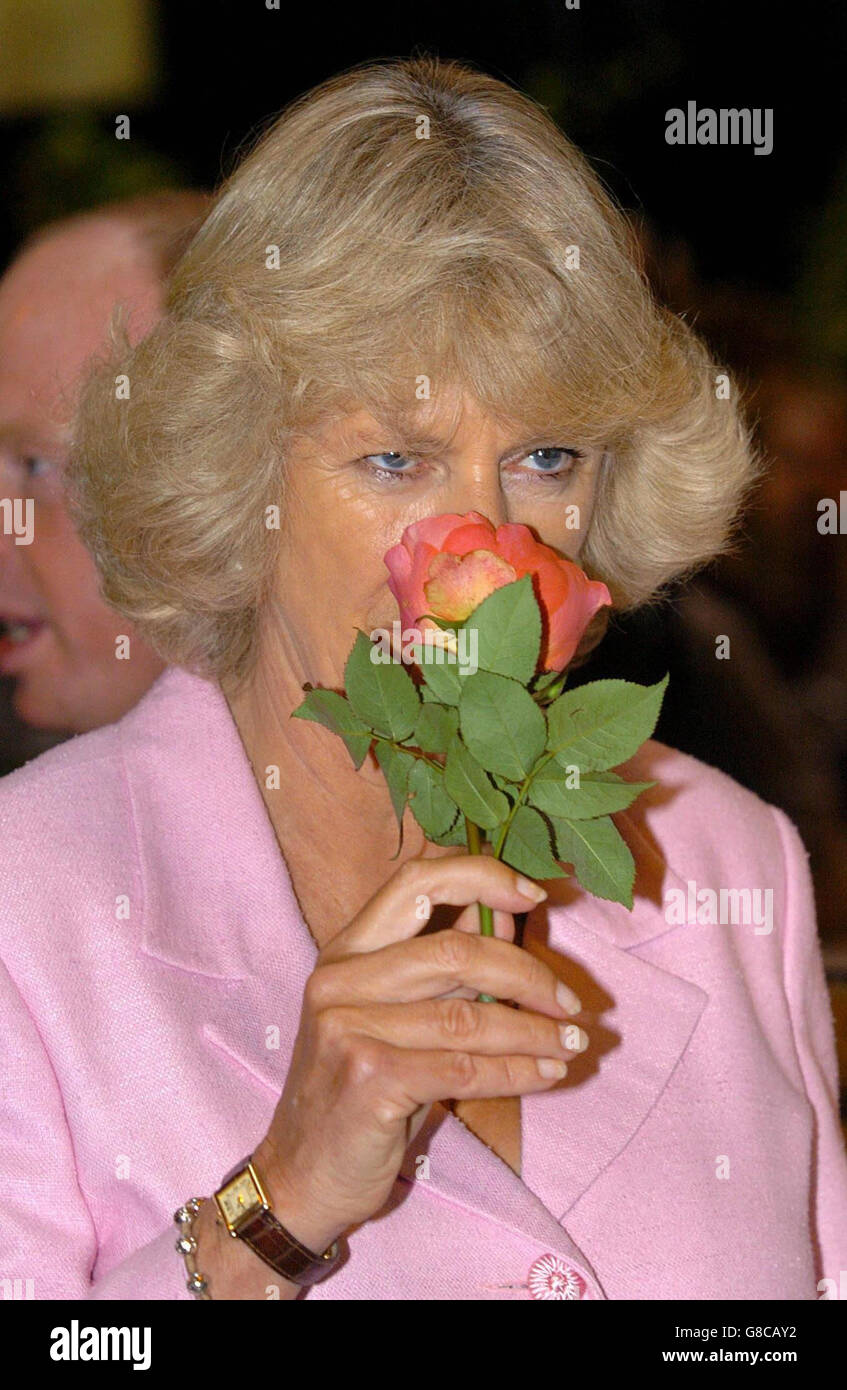 Bbc gardeners world live exhibition hi-res stock photography and images ...