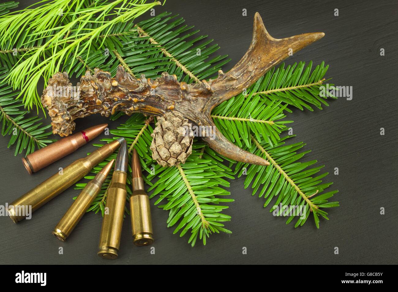 Roe deer antler and needles. Sales of hunting needs. Invitation to the ...