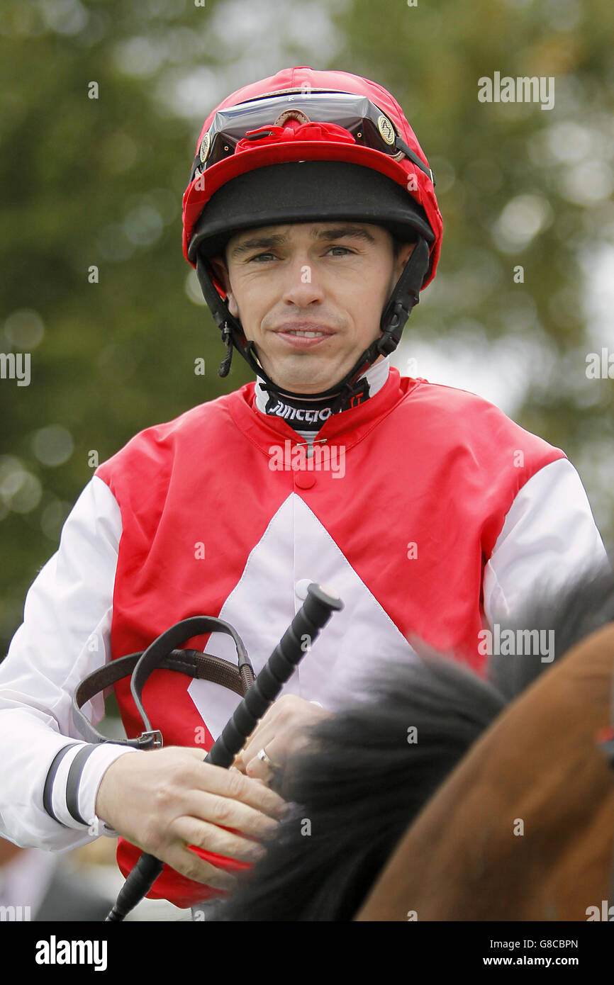 Horse racing beverley racecourse hi-res stock photography and images ...