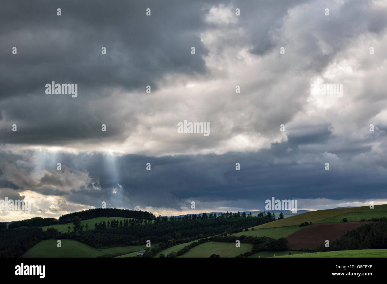 Near Knighton, Powys, UK, on the border between England and Wales ...