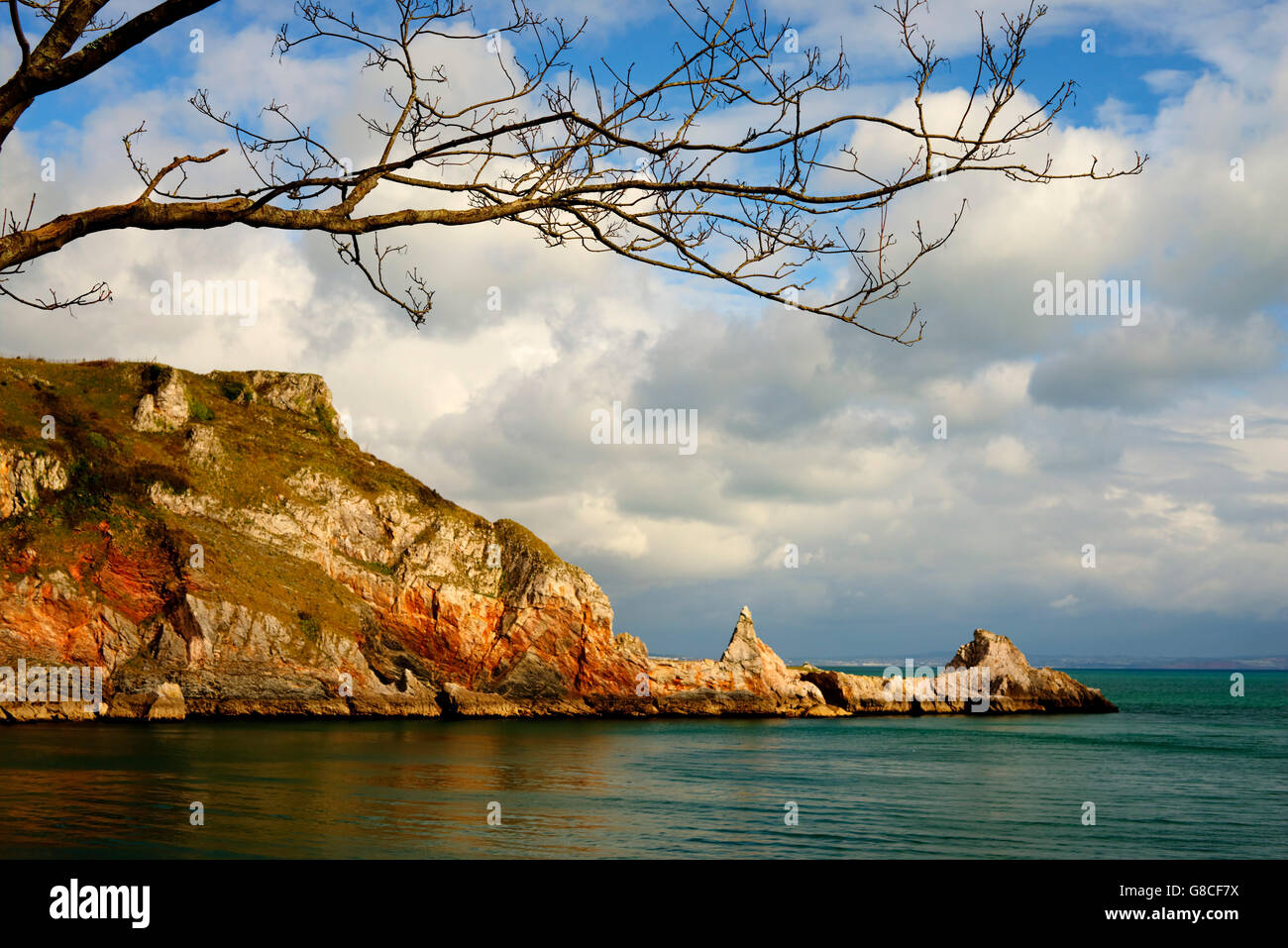 Long Quarry Point at Anstey's Cove, Torquay, Devon Stock Photo - Alamy