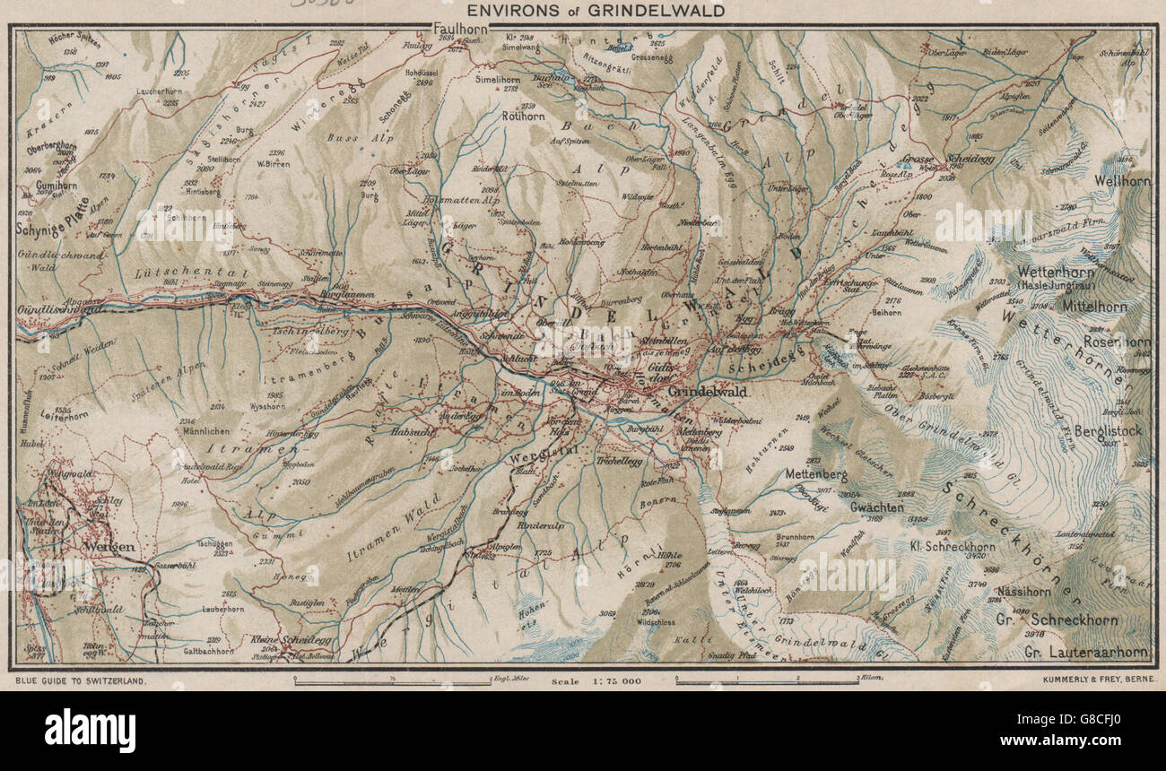 GRINDELWALD ENVIRONS. Wengen Faulhorn Lauterbrunnen. Vintage map plan ...