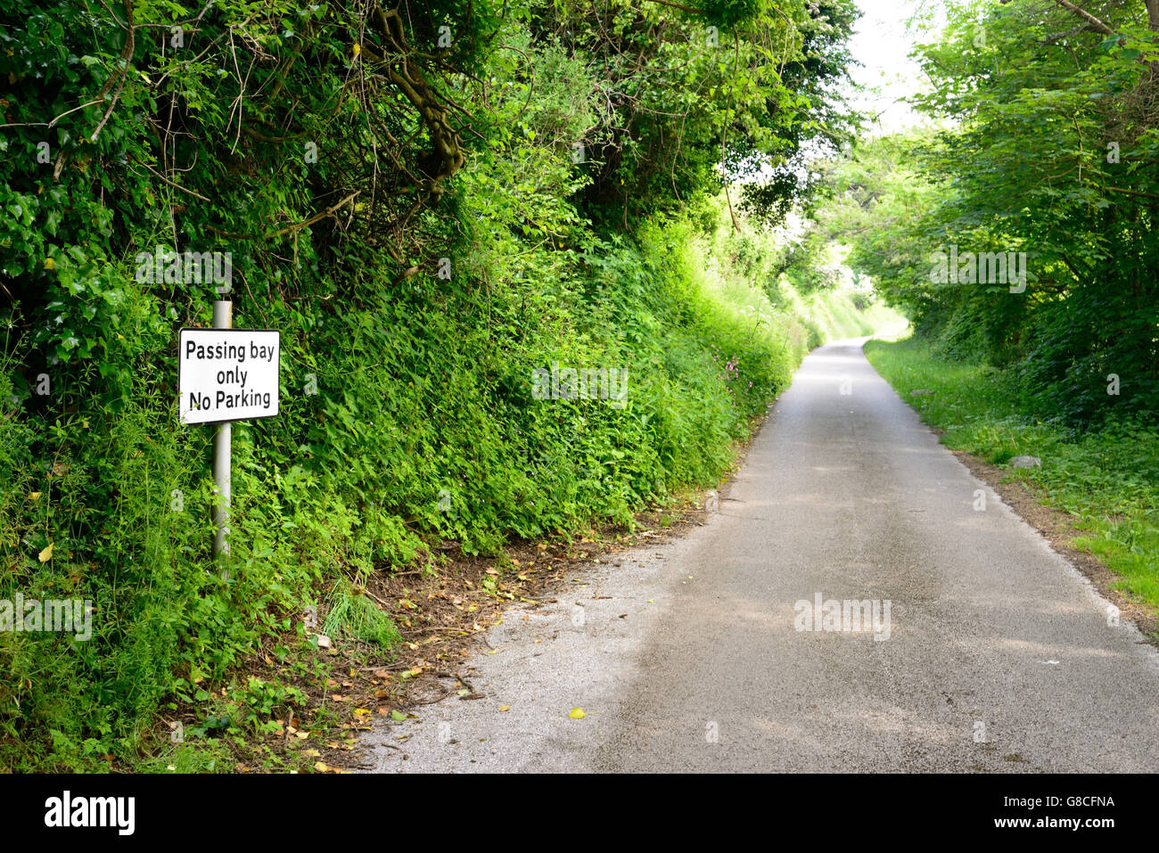 A passing bay on a narrow country lane Stock Photo - Alamy