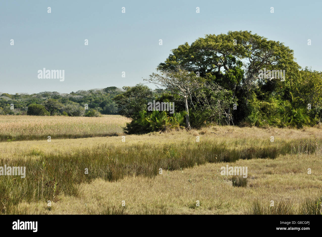 Maputa hi-res stock photography and images - Alamy