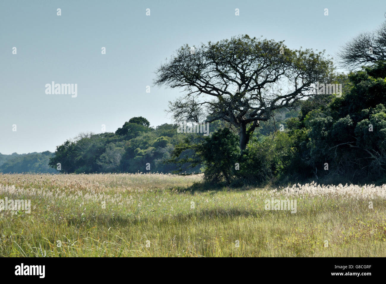 Maputo hi-res stock photography and images - Alamy