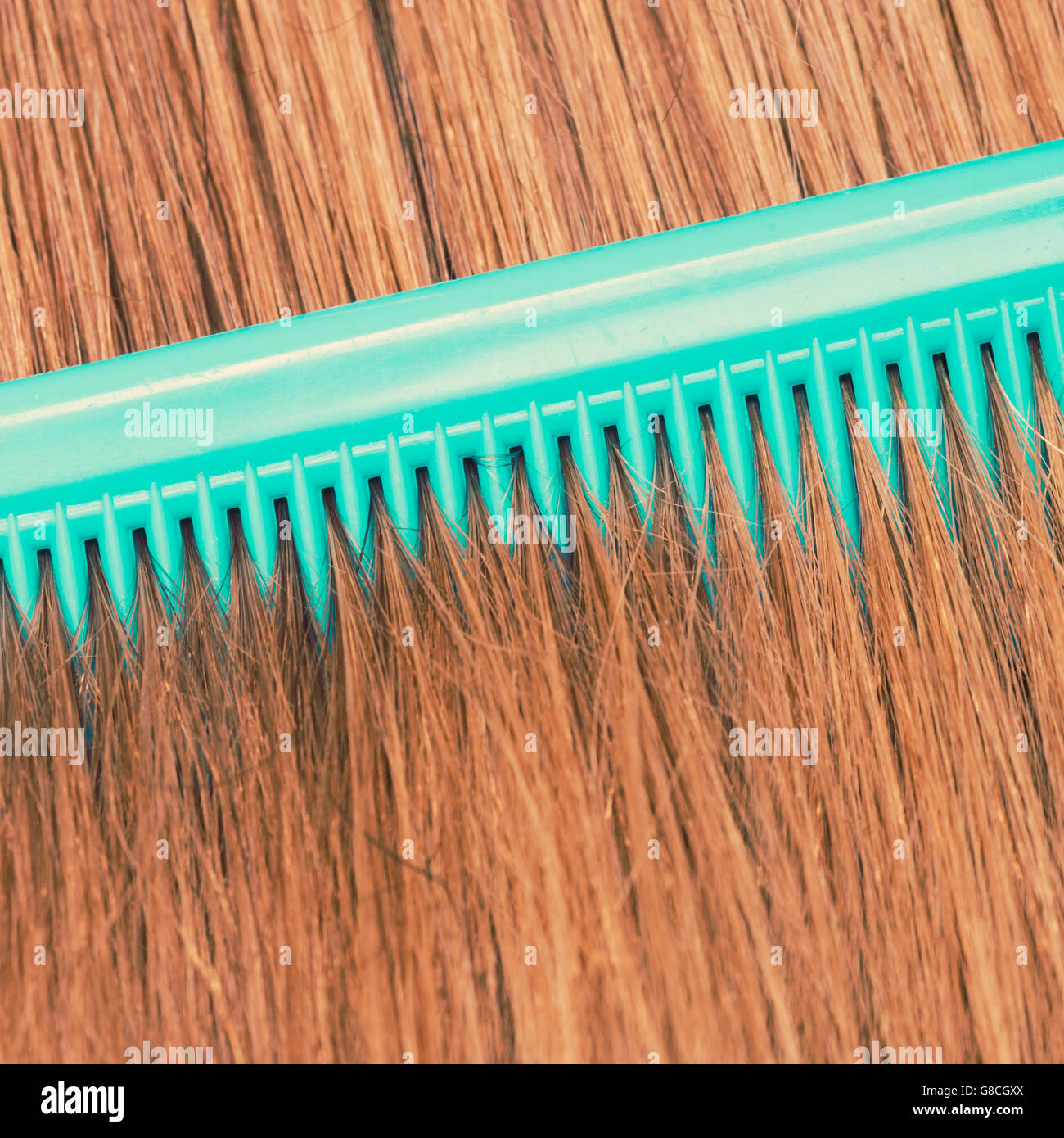 Combing and brushing concept. Routine everyday hygiene. Close up of ...